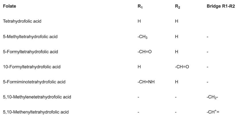 Focus Folates and Folic Acid - Analytical Food Chemistry